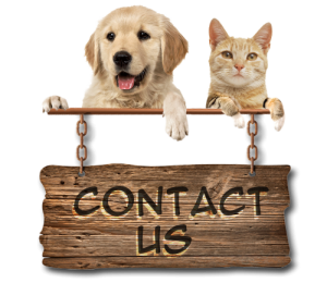 Contact Us - Pamper My Pet